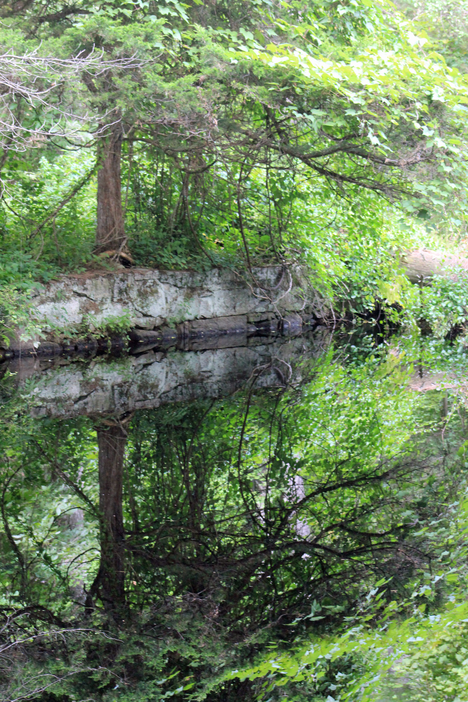 quarry-pond – Miki's Picks