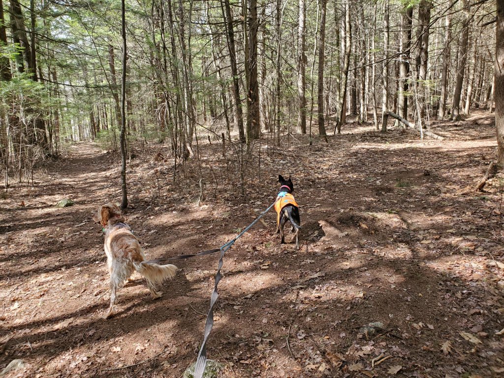 HARRIS CENTER: Hiroshi Loop trail – Miki's Picks