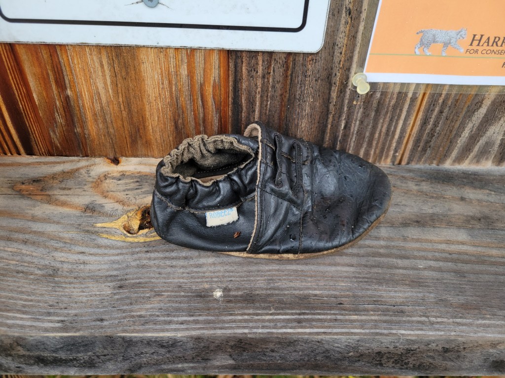 HARRIS CENTER: Hiroshi Loop trail – Miki's Picks