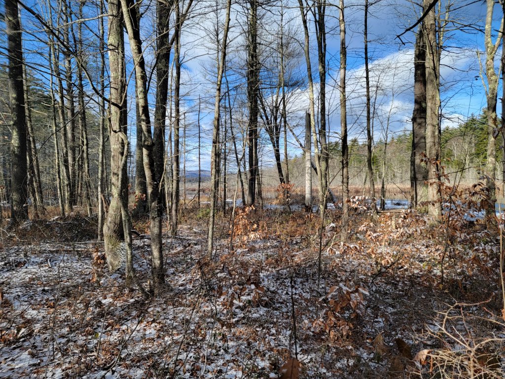 HARRIS CENTER: Hiroshi Loop trail – Miki's Picks